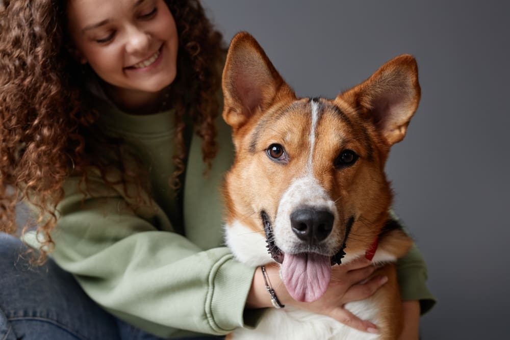 Get A Legitimate ESA Letter From Licensed Therapists - Emotional ...